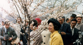 First Ladies and Cherry Blossoms - White House Historical Association