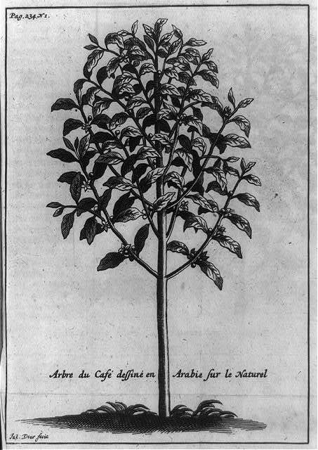 Coffee and the White House - White House Historical Association
