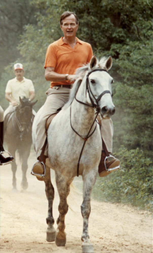 Then Vice President George H.W. Bush on a Horseback Ride - White House ...