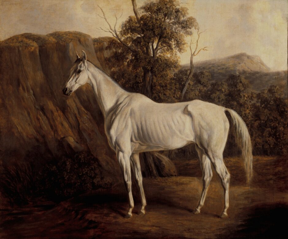 Andrew Jackson's Horse - Bolivia - White House Historical Association