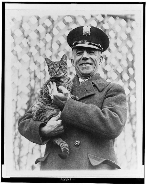 Demon Cat - White House Historical Association