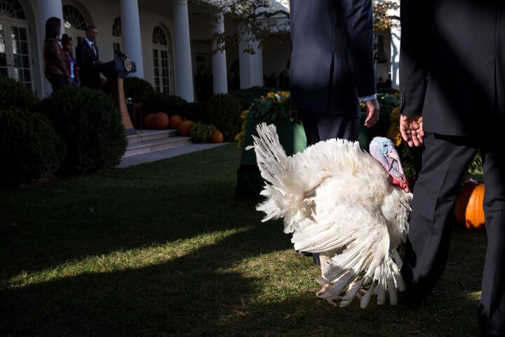 Turkey Traditions at the White House - White House Historical Association