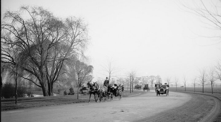 Mrs. Taft and the Cherry Blossoms - White House Historical Association