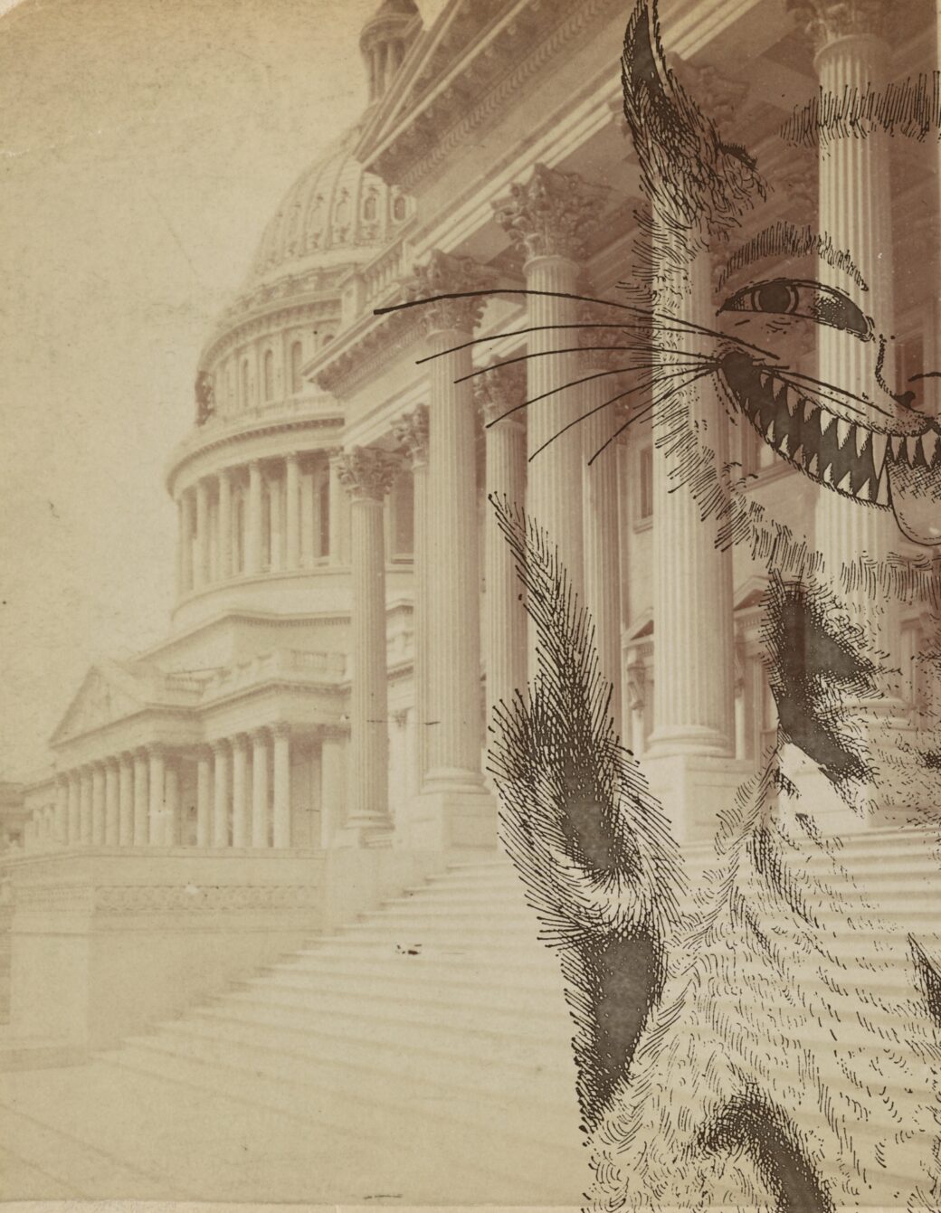 Demon Cat at Capitol - White House Historical Association