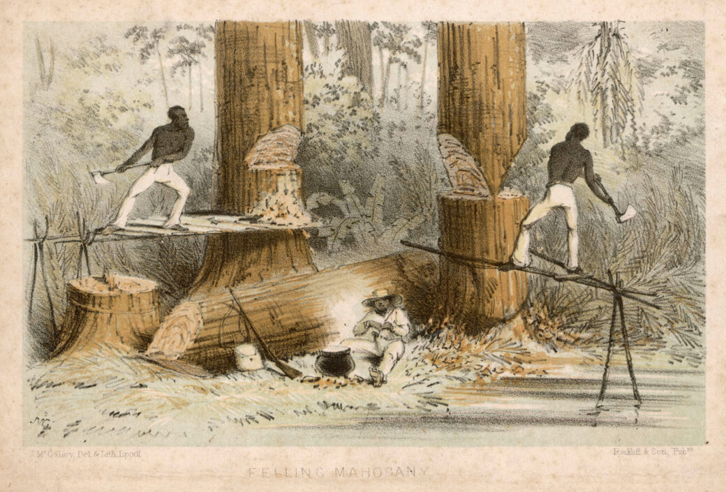 Felling Mahogany - White House Historical Association