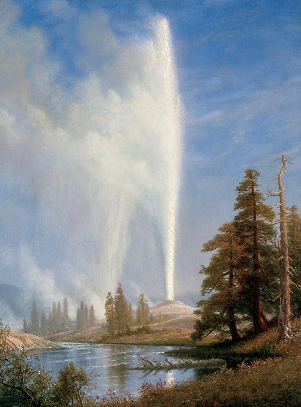 Romantic Expansions - White House Historical Association