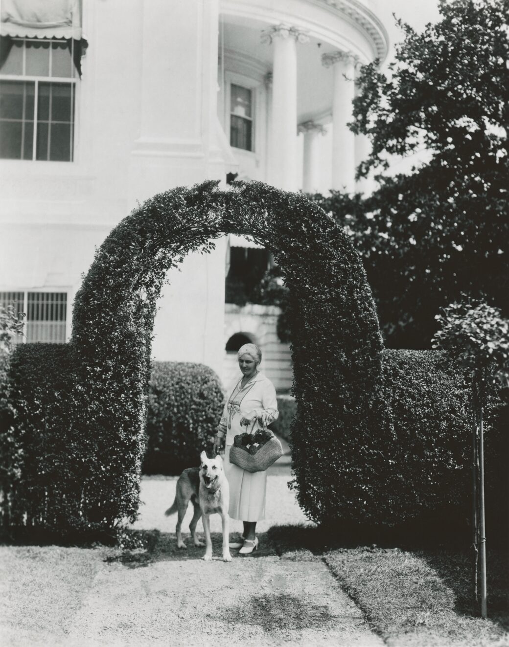 Lou Henry Hoover with German shepherd King Tut at an entrance to the ...