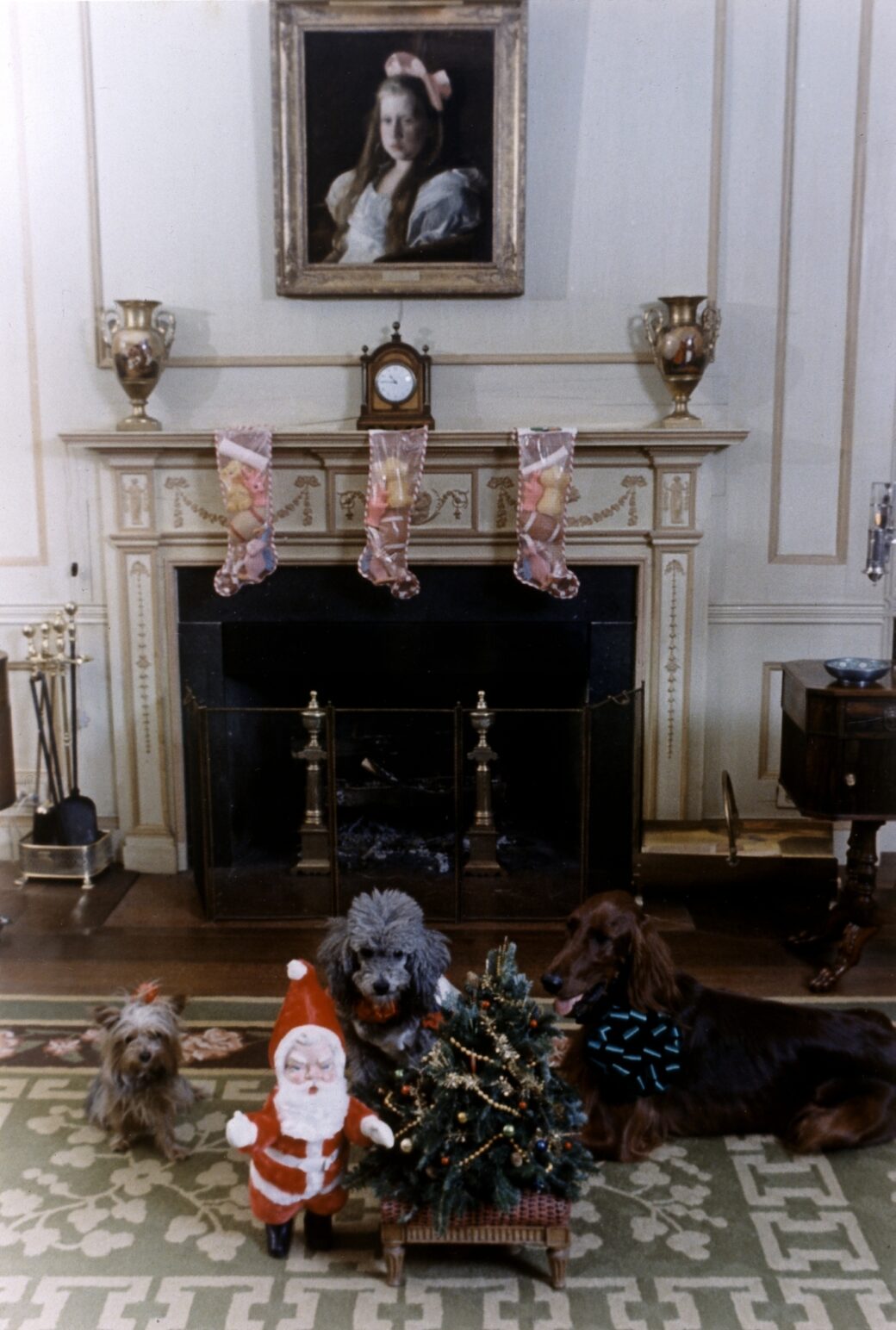 Top Dogs, Timahoe - White House Historical Association