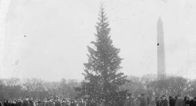The 1923 National Christmas Tree and the Spirit of the Holiday Season ...