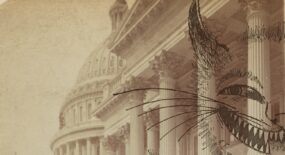 Demon Cat at Capitol - White House Historical Association