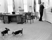President Johnson's Beagles - White House Historical Association