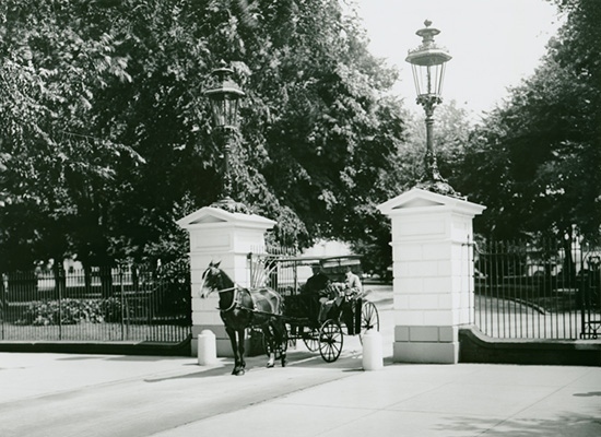 Working Horses at the White House - Photo 3 - White House Historical ...