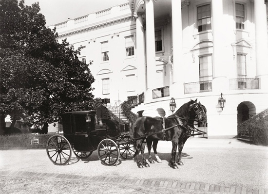 Working Horses at the White House - Photo 5 - White House Historical ...