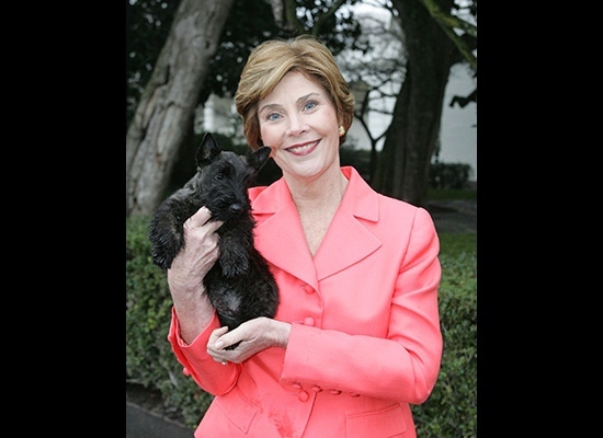 Laura Bush holds Miss Beazley, 2005. - White House Historical Association