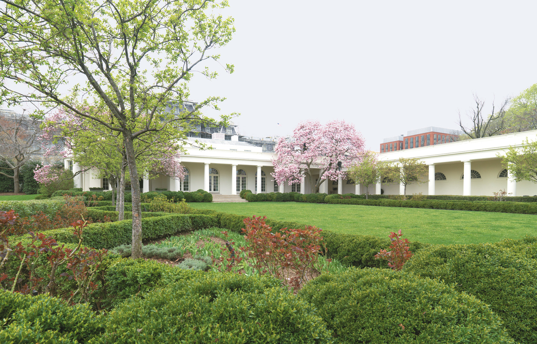 President Kennedy's Rose Garden - White House Historical Association