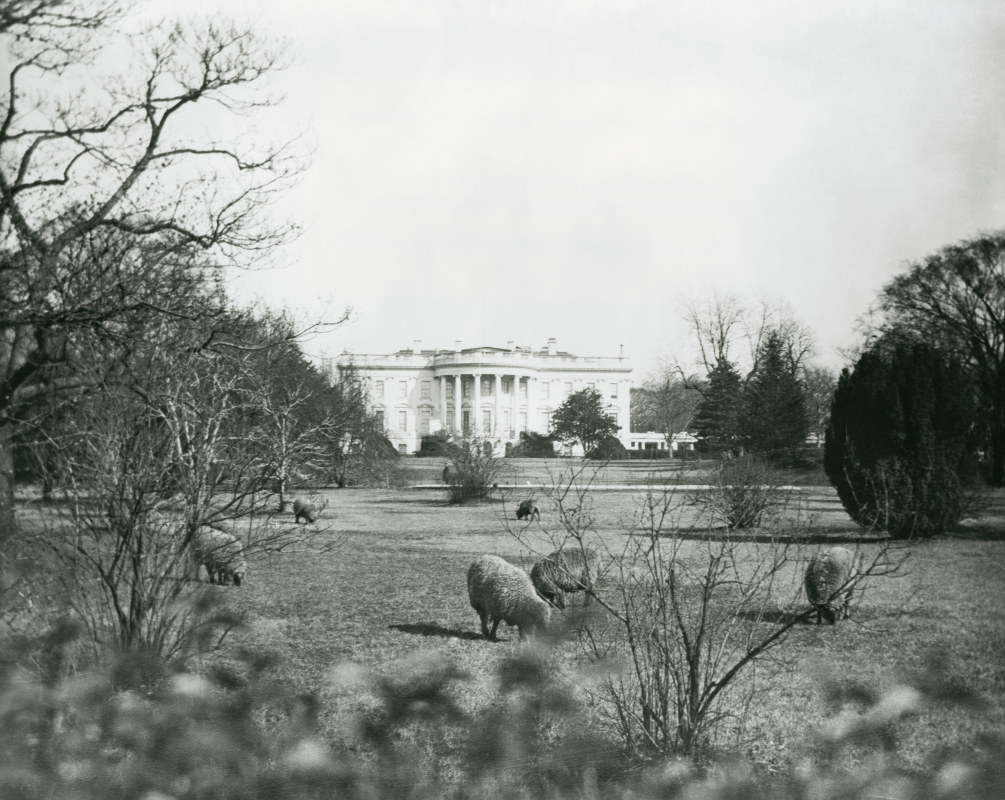Capturing History - White House Historical Association