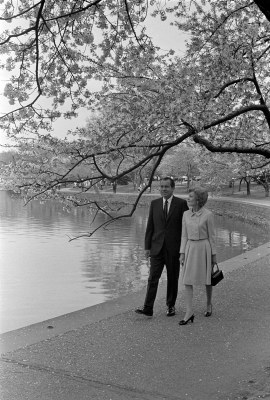 Cherry Blossoms: The White House Celebrates a Washington Tradition ...