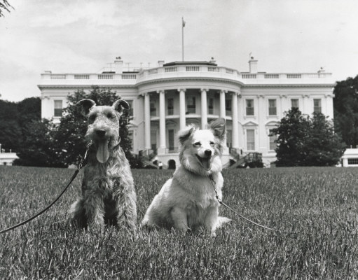 White House Pets: Animal Ambassadors - White House Historical Association