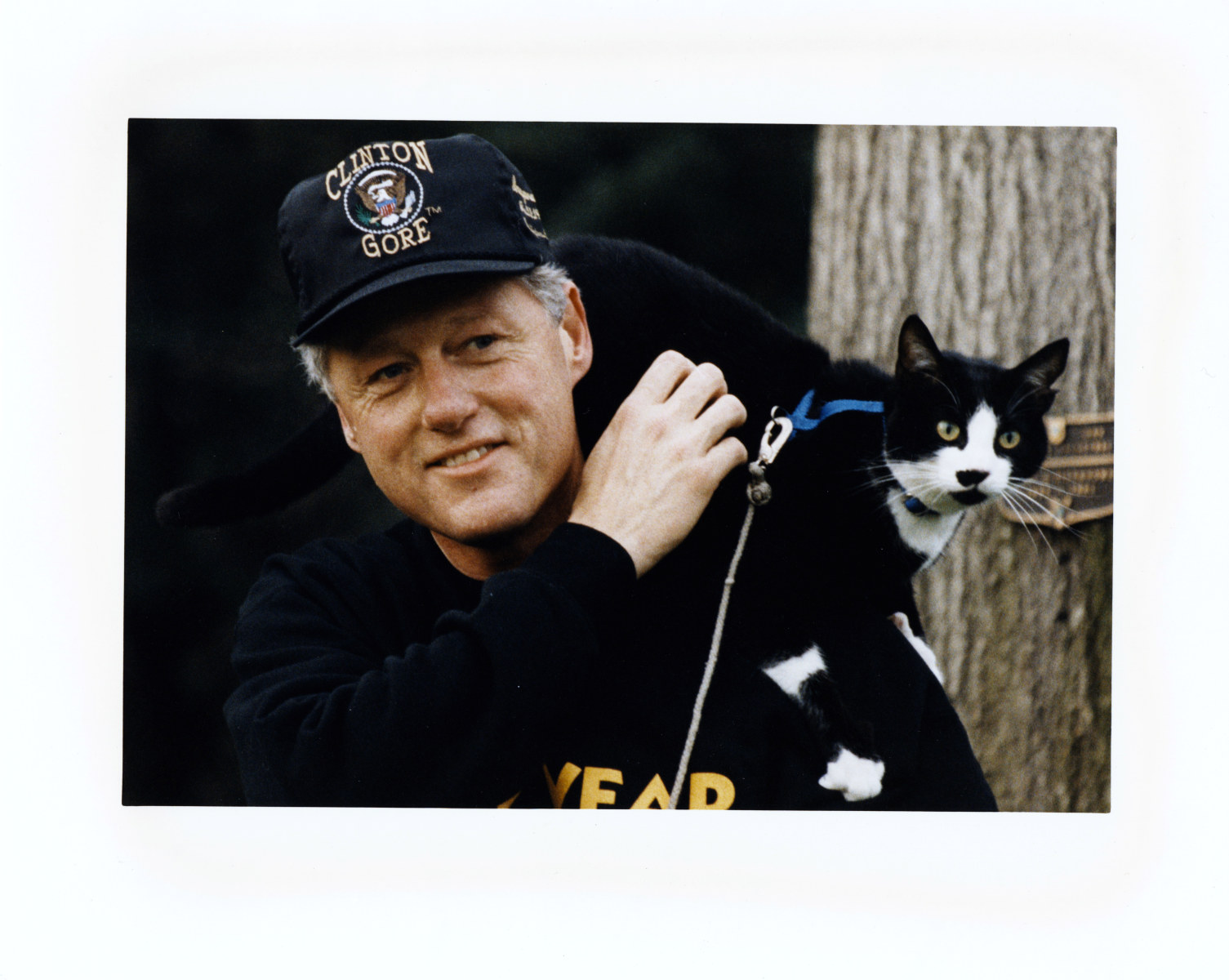 Here Kitty Kitty - White House Historical Association