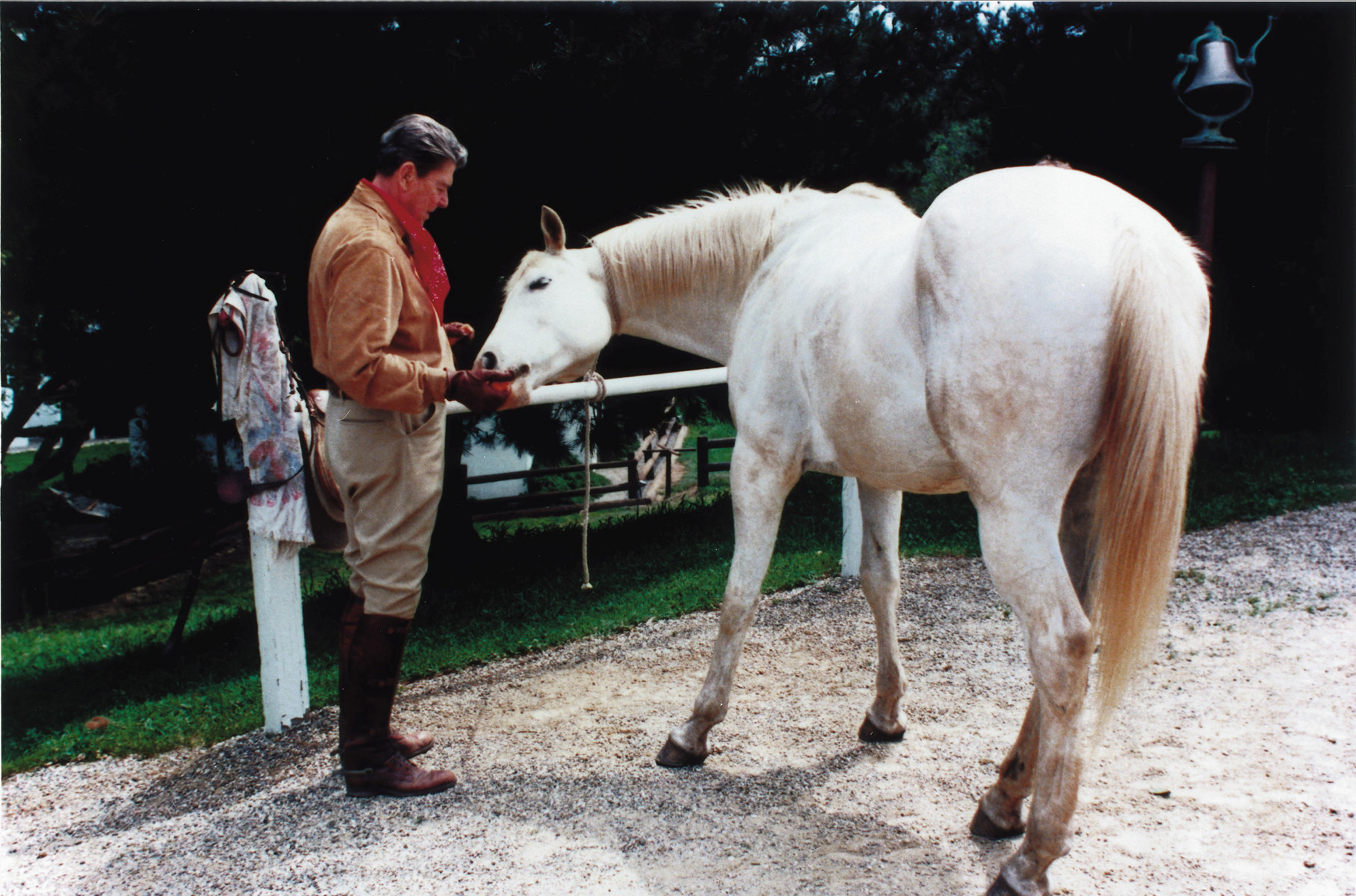 Notable Horses - White House Historical Association