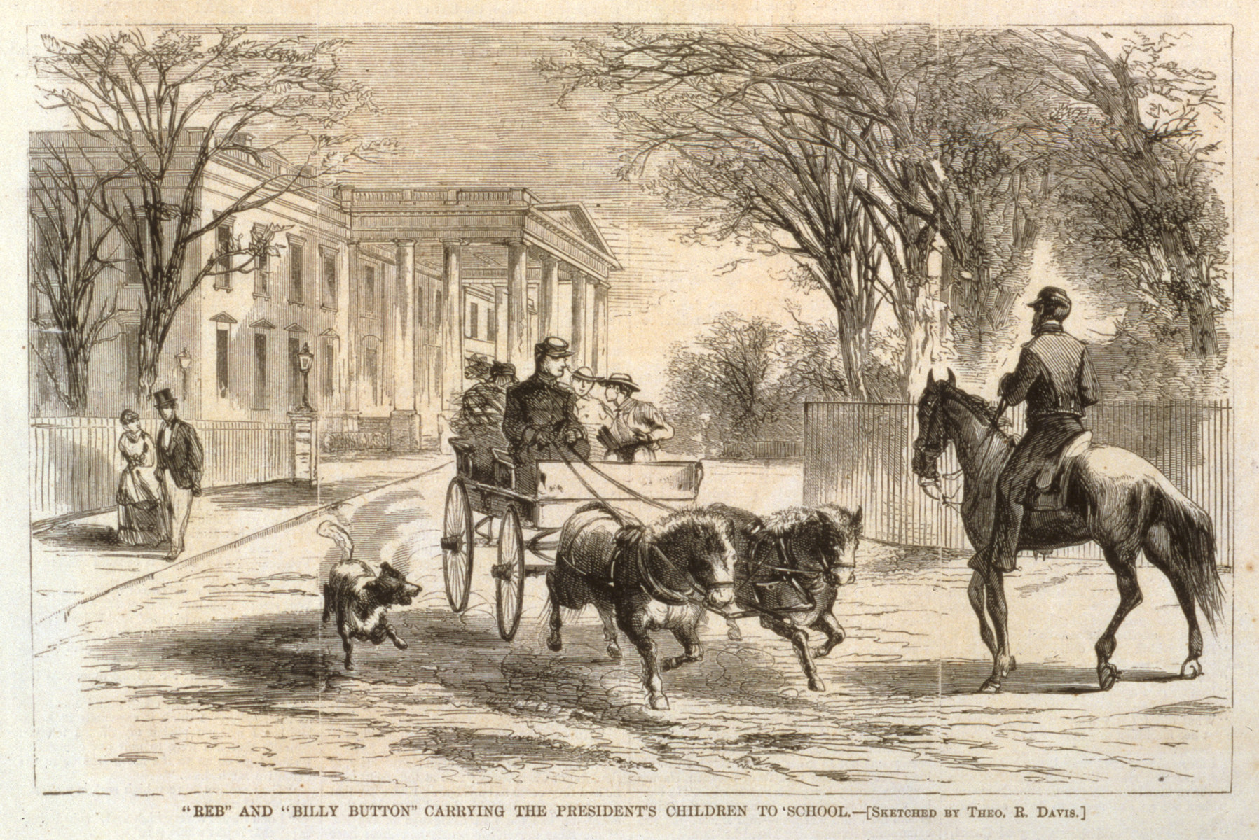 White House Pets in the Past - White House Historical Association
