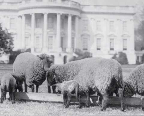 Animal Ambassadors - White House Historical Association